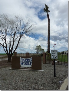 Big Beef and Big Almond | Crosby Devitt's Nuffield Journey